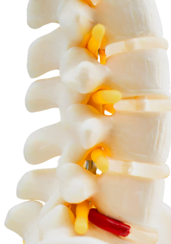 Valens Super Kalcij v prahu - 100% naraven kalcij Aquamin